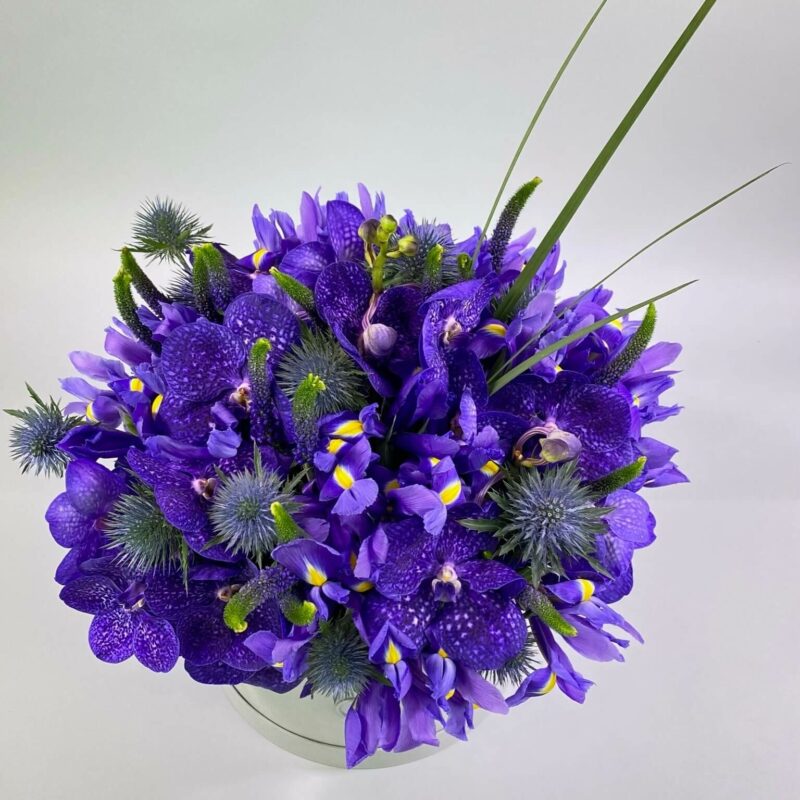 Céleste Bouquet boîte à fleurs - Maison Baptiste Pitou