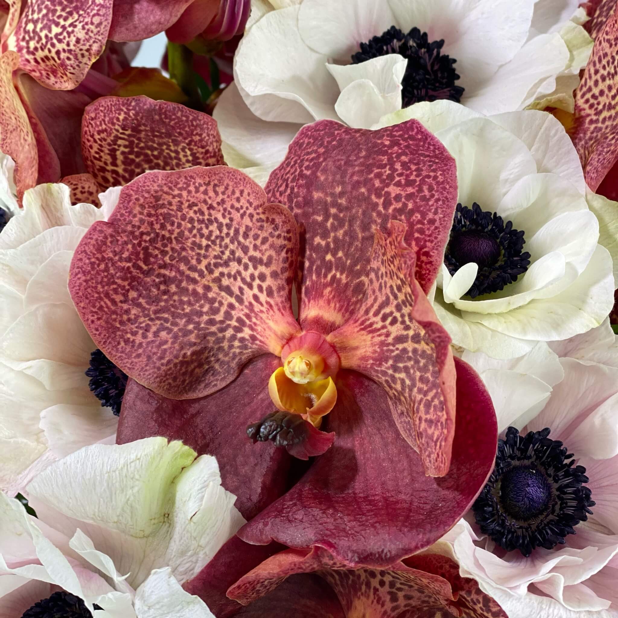 Emouvante Bouquet boîte à fleurs - Maison Baptiste Pitou