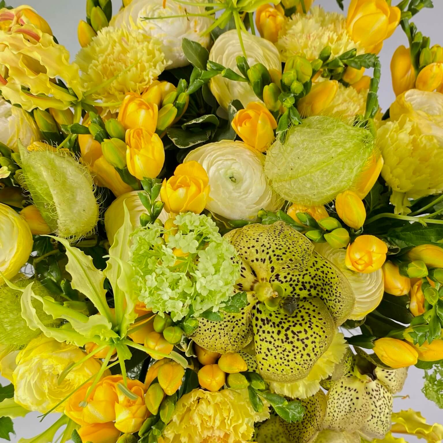 Pimpante Bouquet de Fleurs et son Vase - Maison Baptiste Pitou