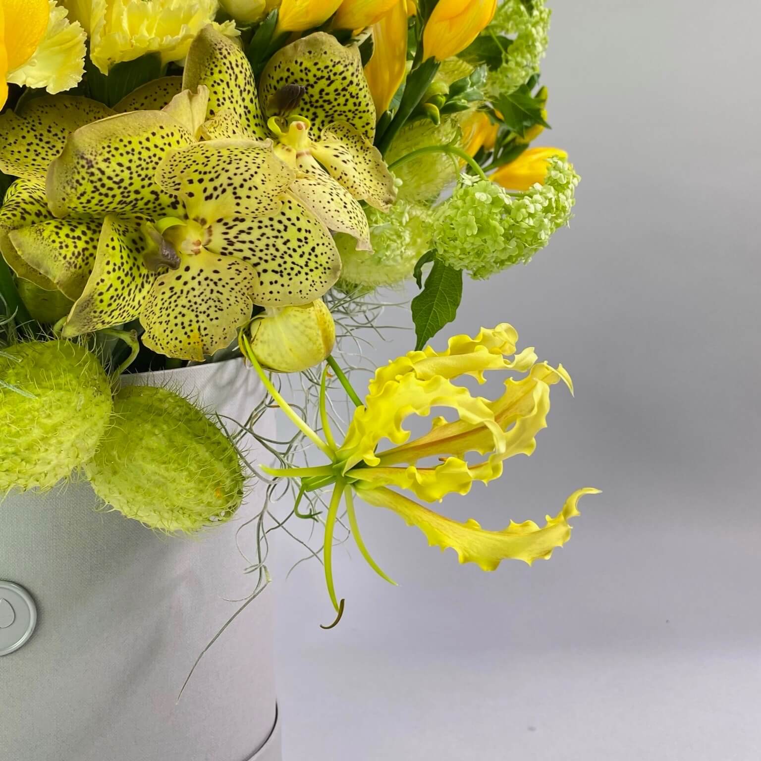 Pimpante Bouquet de Fleurs et son Vase - Maison Baptiste Pitou