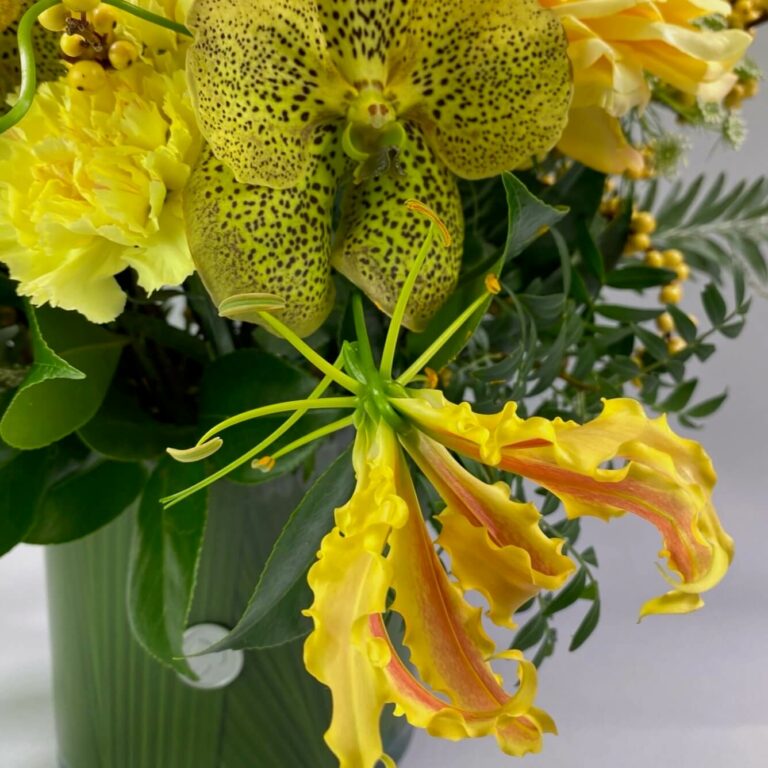 Eblouissante Bouquet de Fleurs et son Vase - Maison Baptiste Pitou
