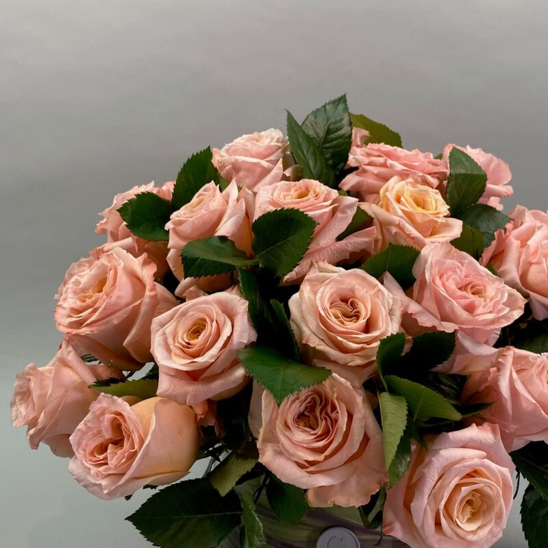 Infidèle Bouquet de Roses- Maison Baptiste Pitou